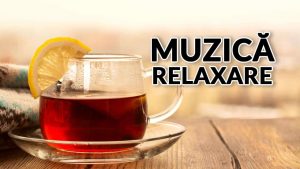 51 De Melodii Cu Muzica De Relaxare și Ambientală Pe Spotify